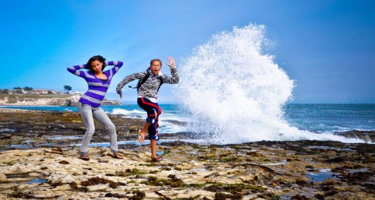 Dive into the Depths of Humor with Funny Ocean Jokes 🐠