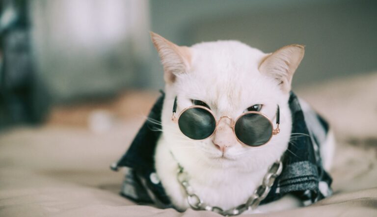 Laugh Out Loud with These Hilarious Rizz Jokes