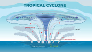 Hilarious Hurricane Humor - Riding the Laugh Waves